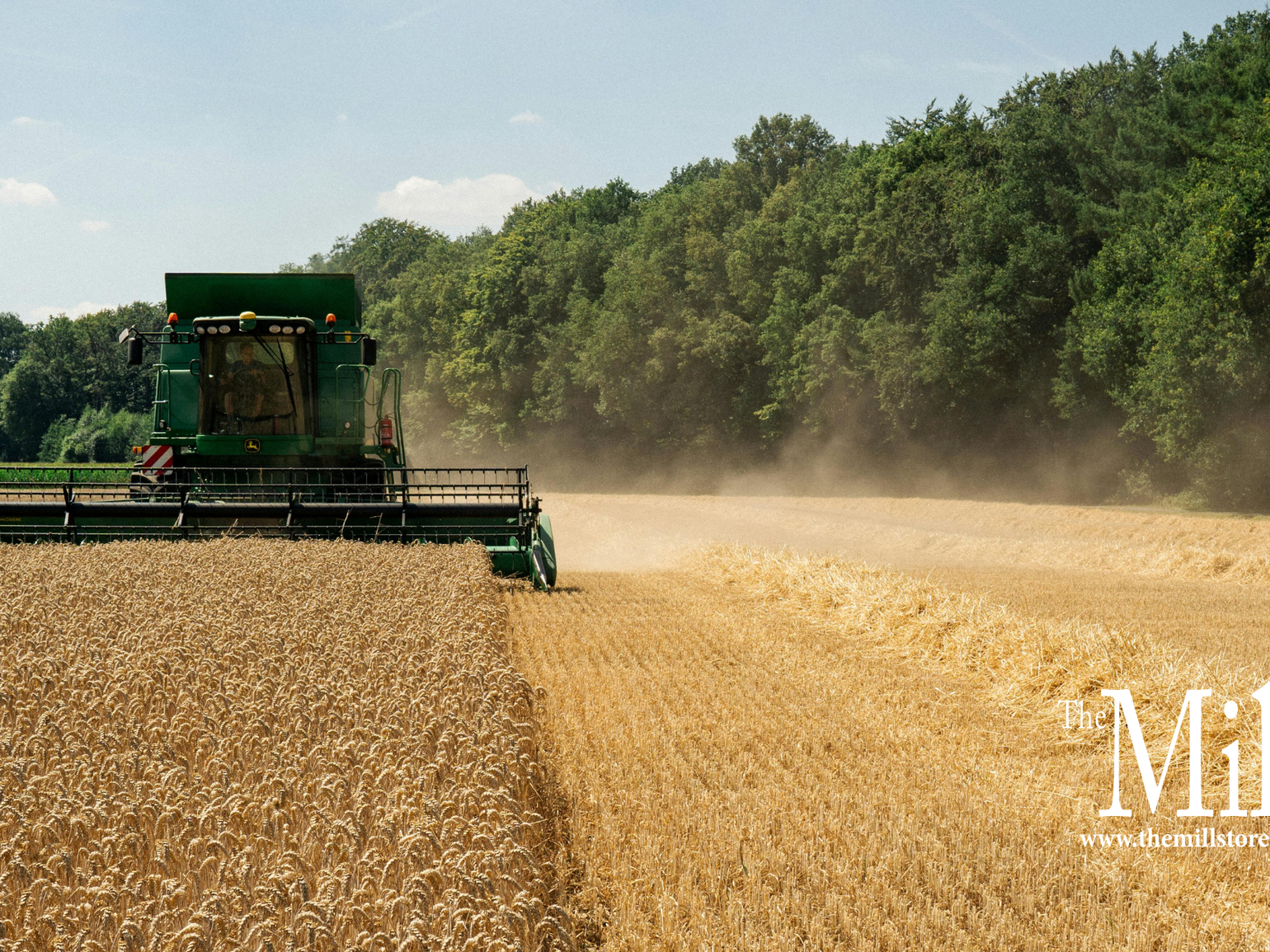 What Is Forage? Preparing Pastures for Healthy Livestock Nutrition ...