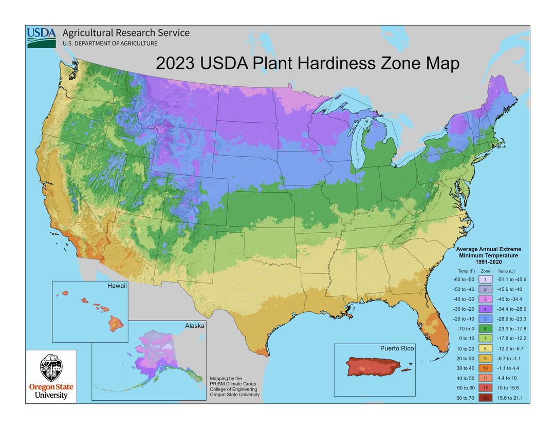 USDA Updated the Plant Hardiness Zone Map Due to Warmer Climates – The Mill