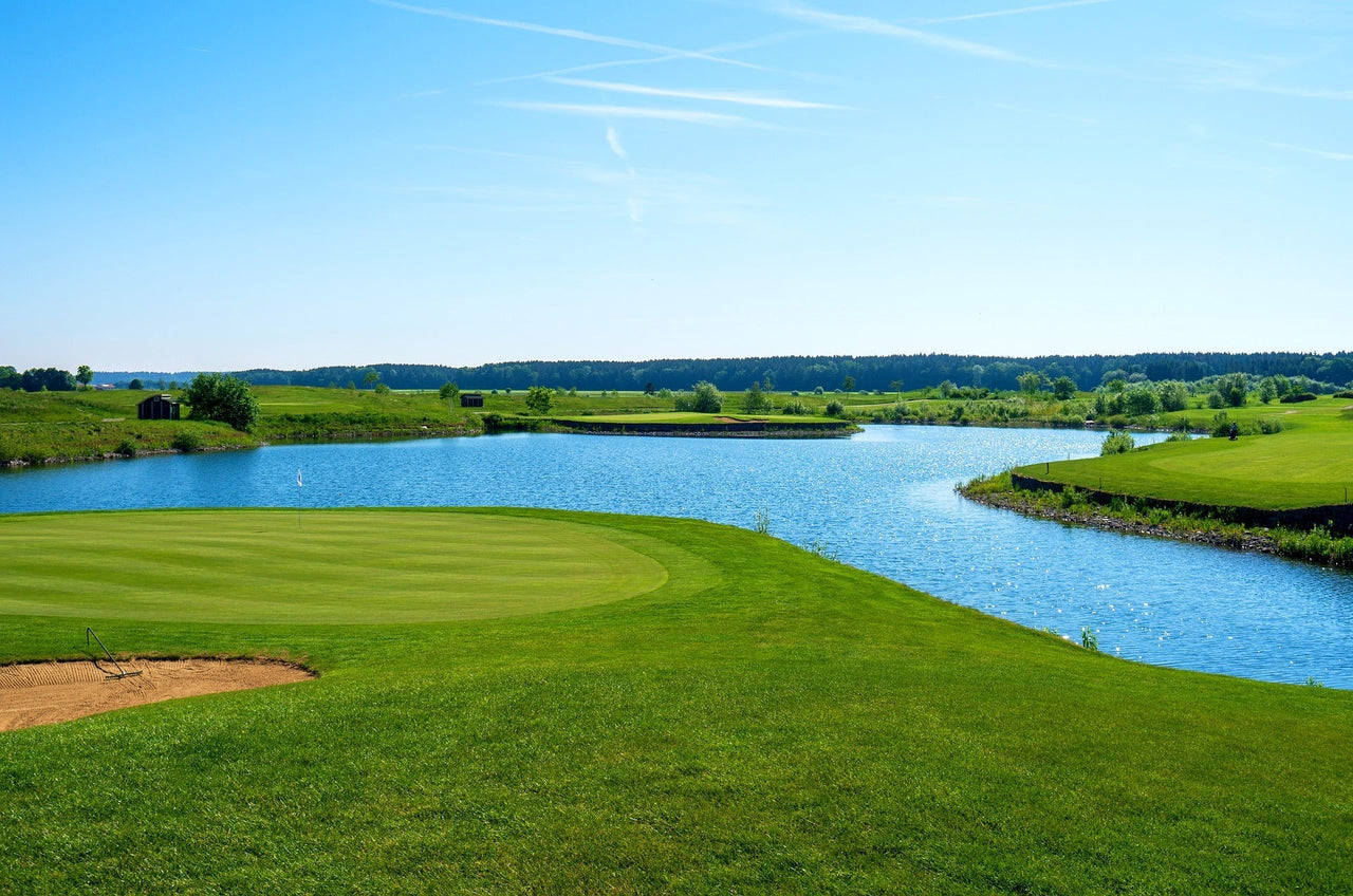 Turfgrass Species and Cultivars | The Mill