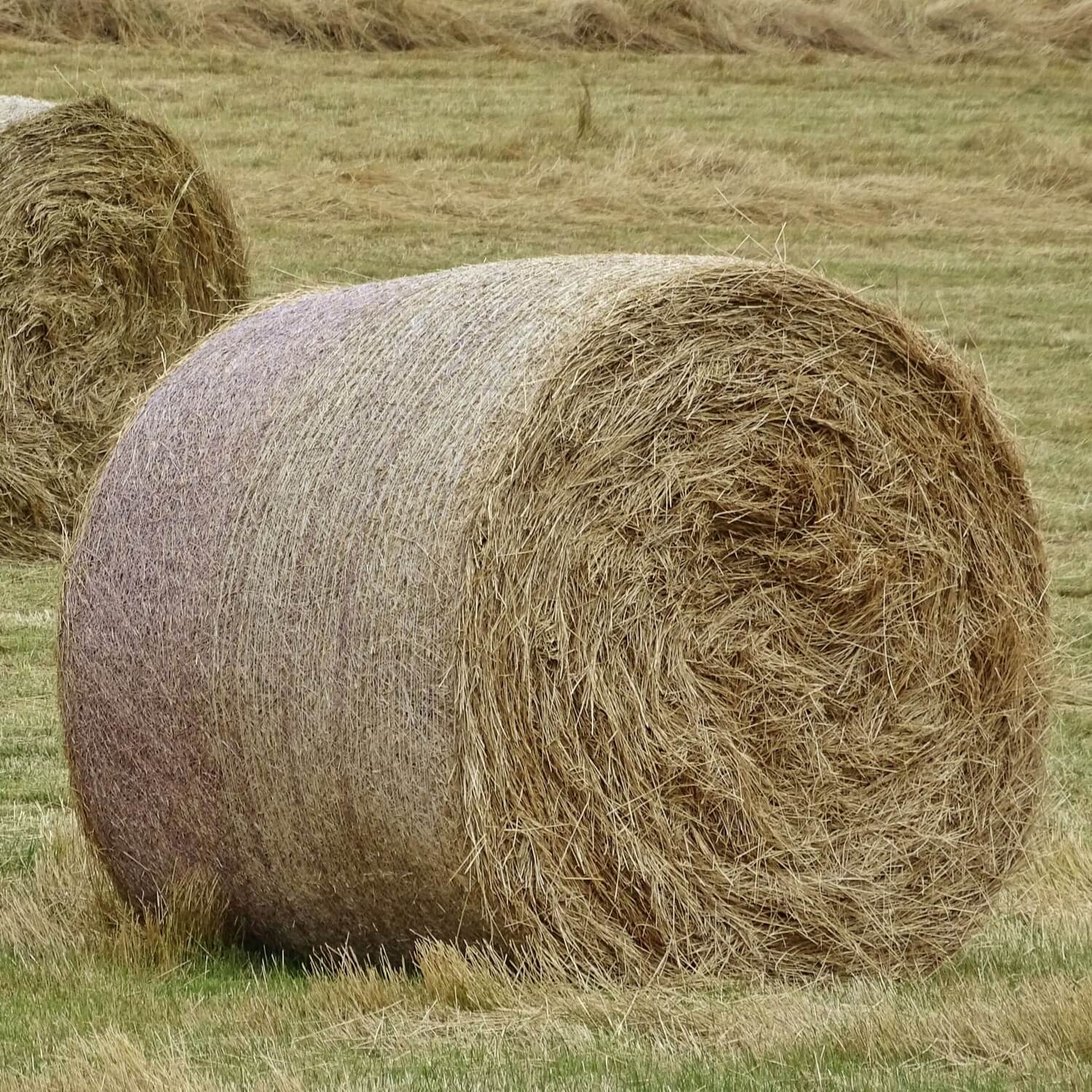 Bale Wrap & Twine – The Mill