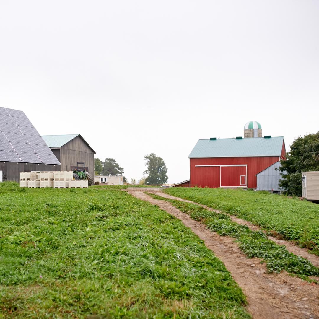 Farm on sale – The Mill