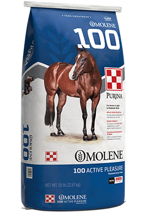 Purina Omolene 100 Active Pleasure Horse Feed | The Mill