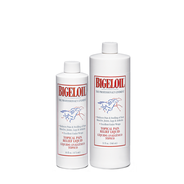 Bigeloil Liniment – The Mill