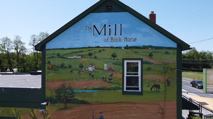 Purina Impact Professional Performance Horse Feed – The Mill