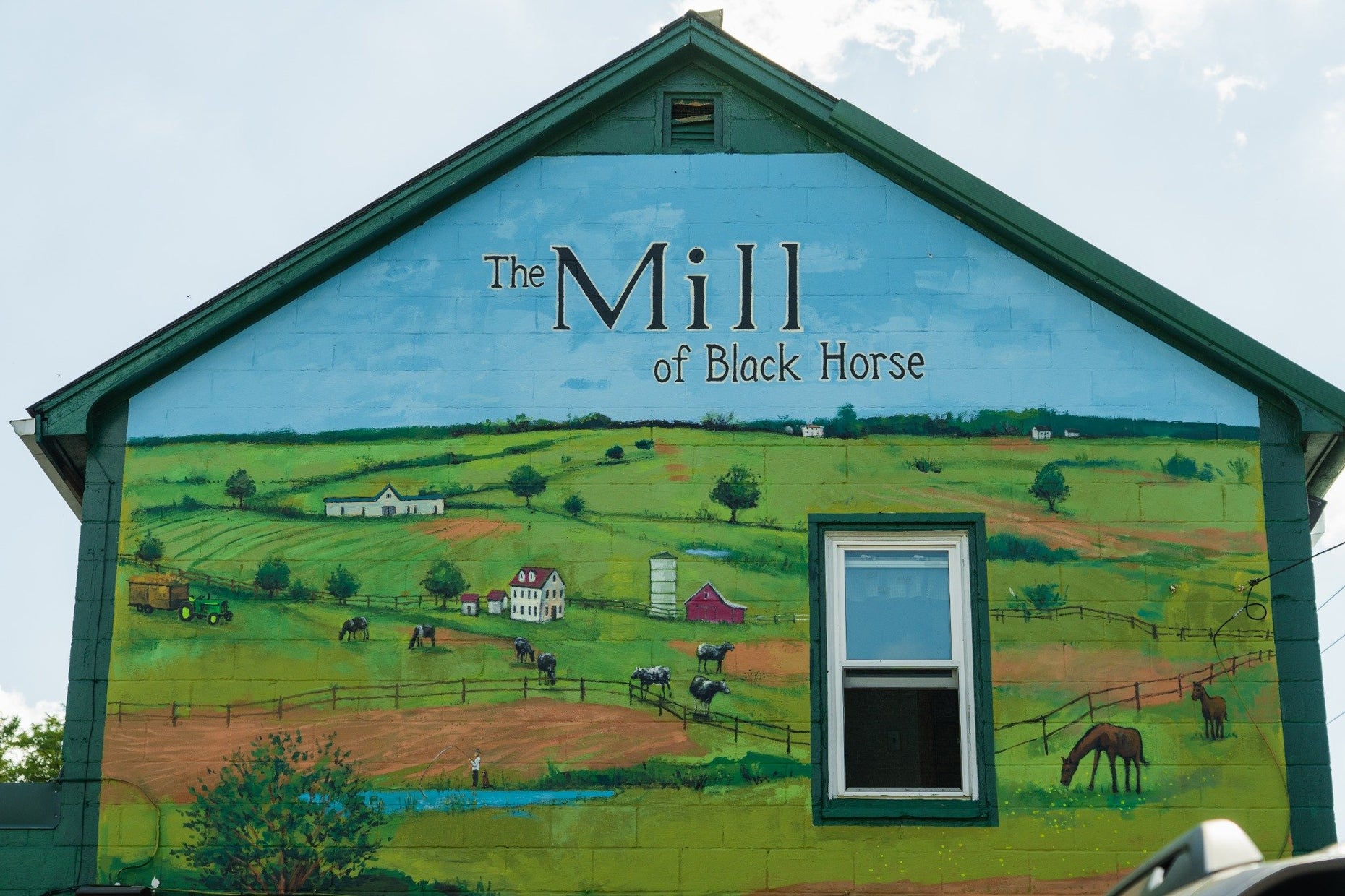 Umbarger Show Feeds Payload Show Cattle Feed, 50 lb | The Mill