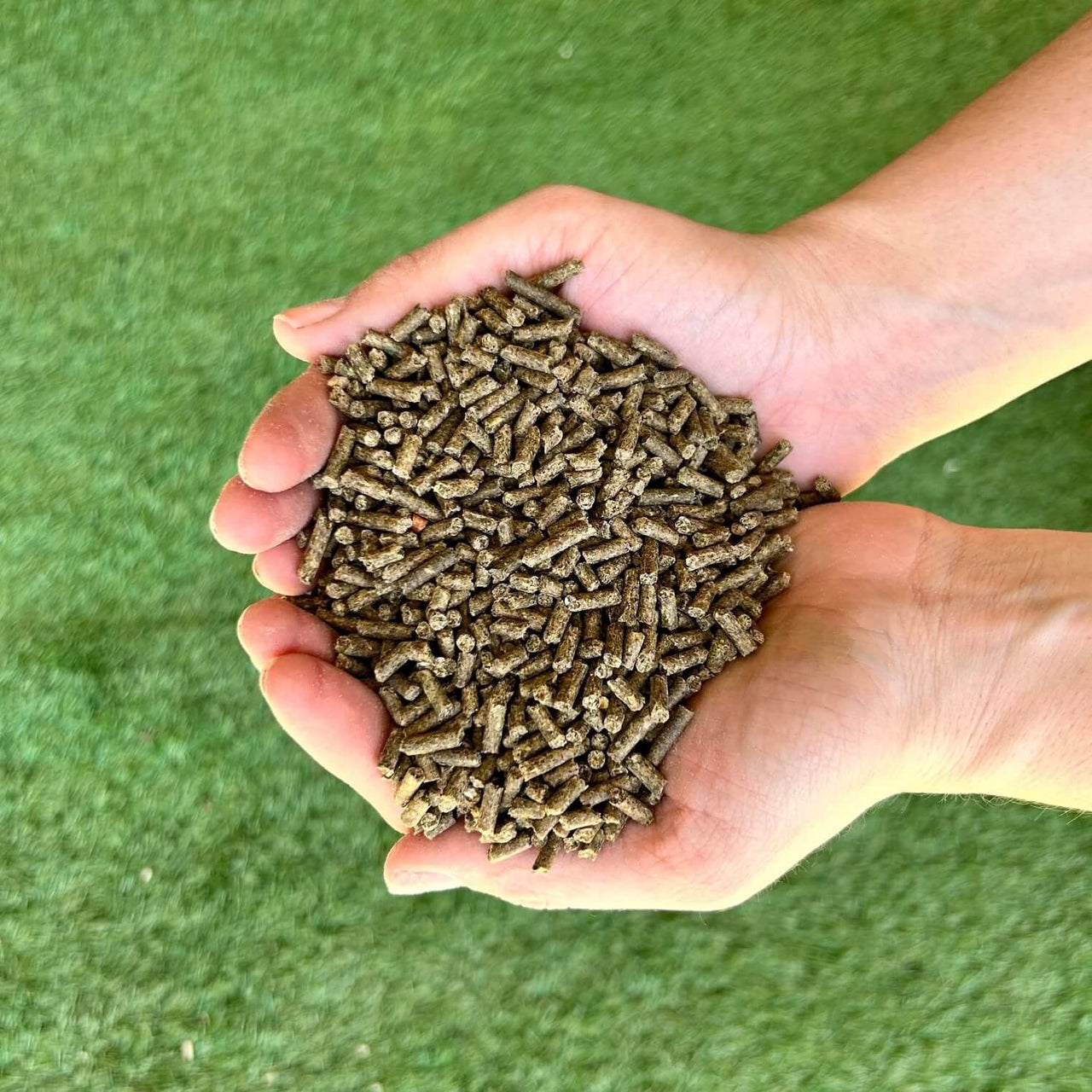 Sunglo Epic I.C.E. Show Feed Supplement | The Mill