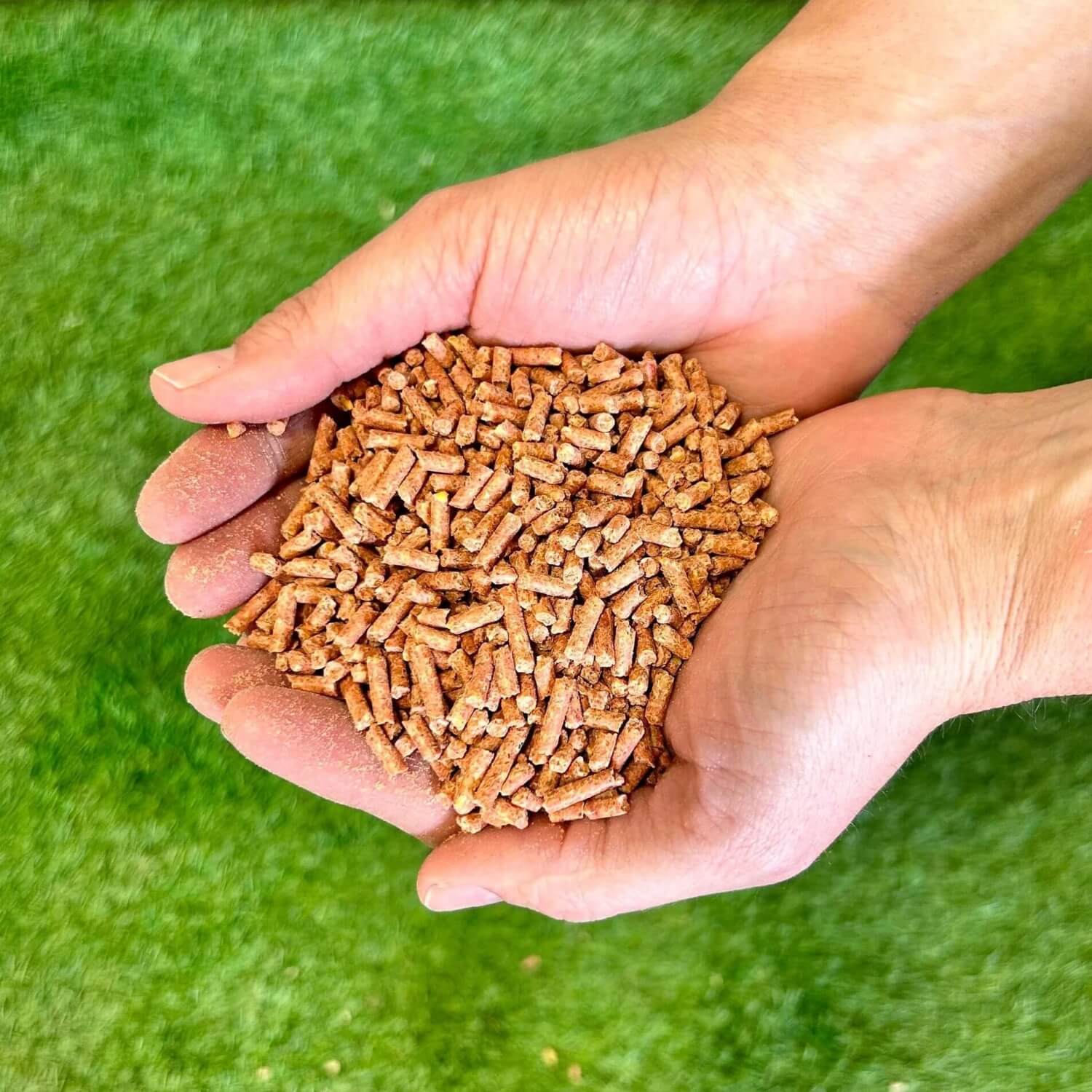 Sunglo Final Control Show Supplement | The Mill - Bel Air, Black Horse ...