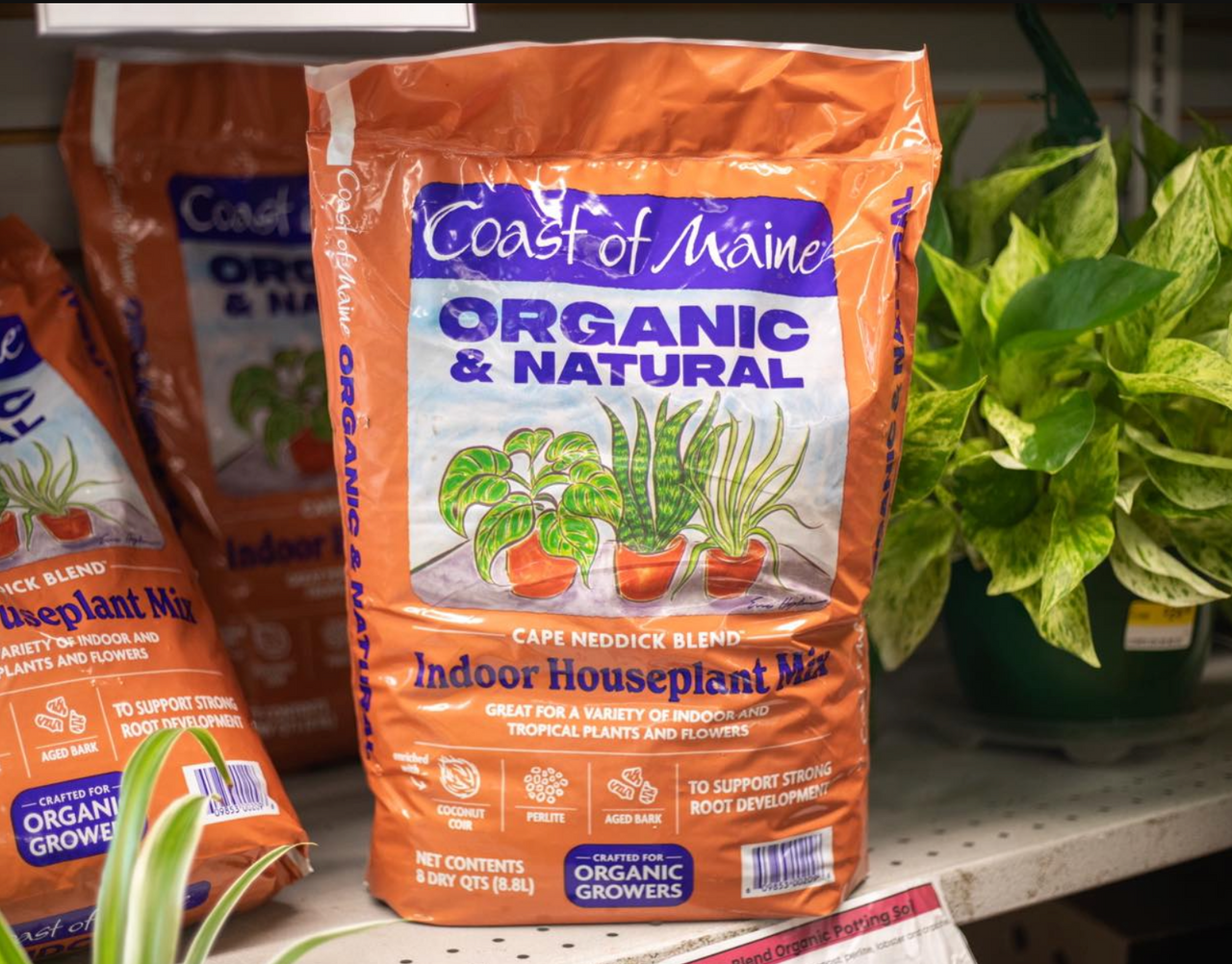 Coast Of Maine Organic Indoor Houseplant Soil Mix – The Mill