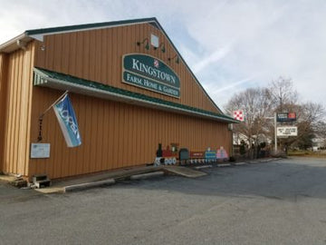 Chickens and Molting: Timing, Care & Feather Loss – The Mill