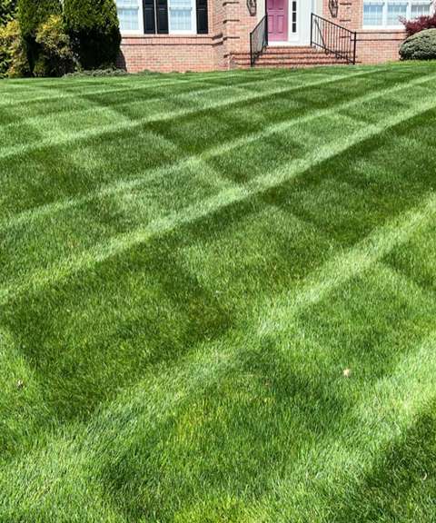 The Mill | Your Store for Pet, Lawn, Garden, Farm, Bird, and Deer