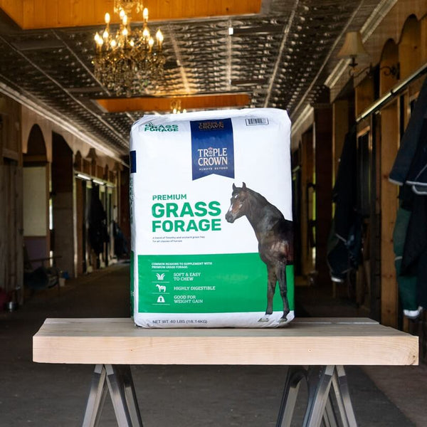 Triple Crown Grass Forage Horse Feed - The Mill - Bel Air, Black Horse ...