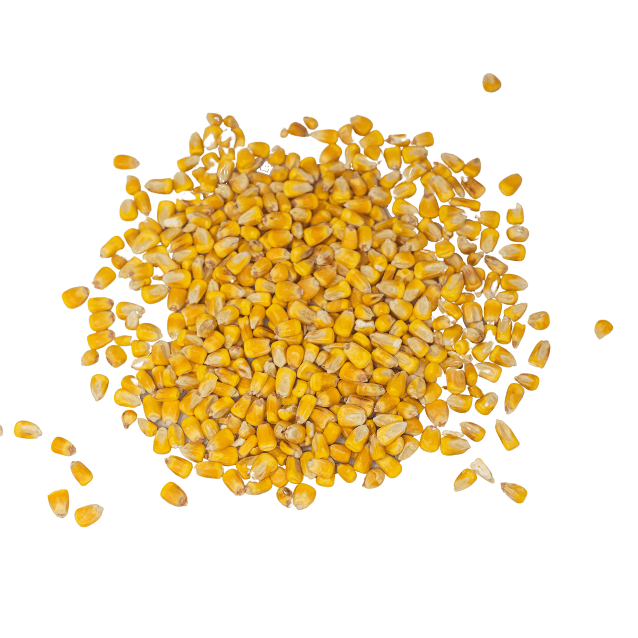Whole Shelled Corn – The Mill