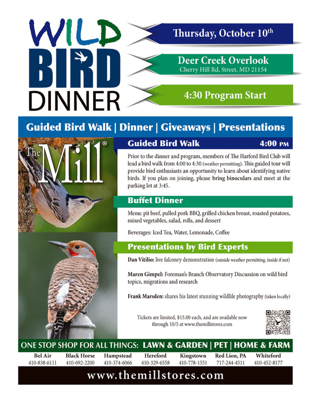 Wild Bird – The Mill