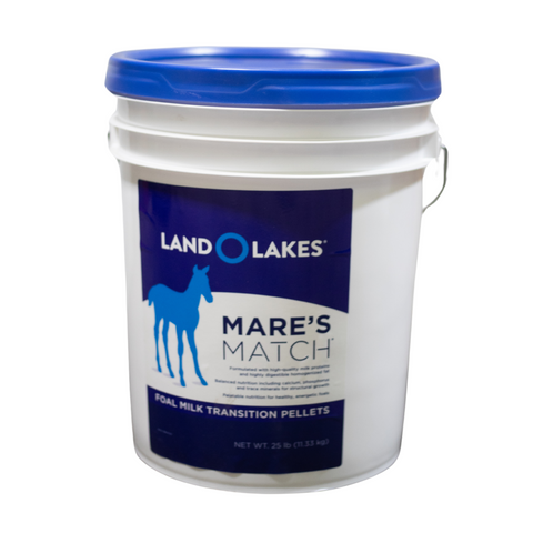 Mare's Match Transition Pellet – The Mill