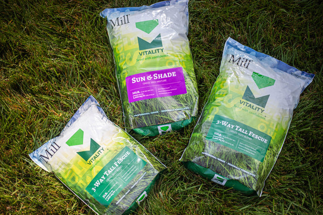 Our Story – The Mill