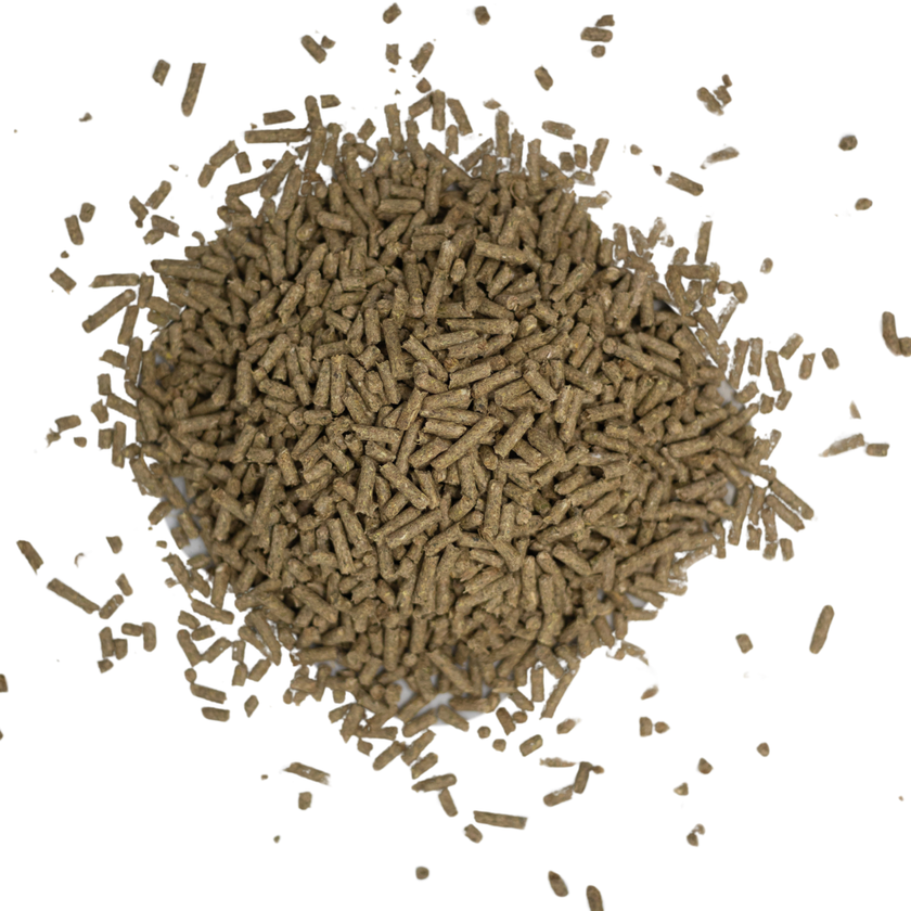 Purina Enrich Plus Ration Balancer Horse Feed and Supplement – The Mill