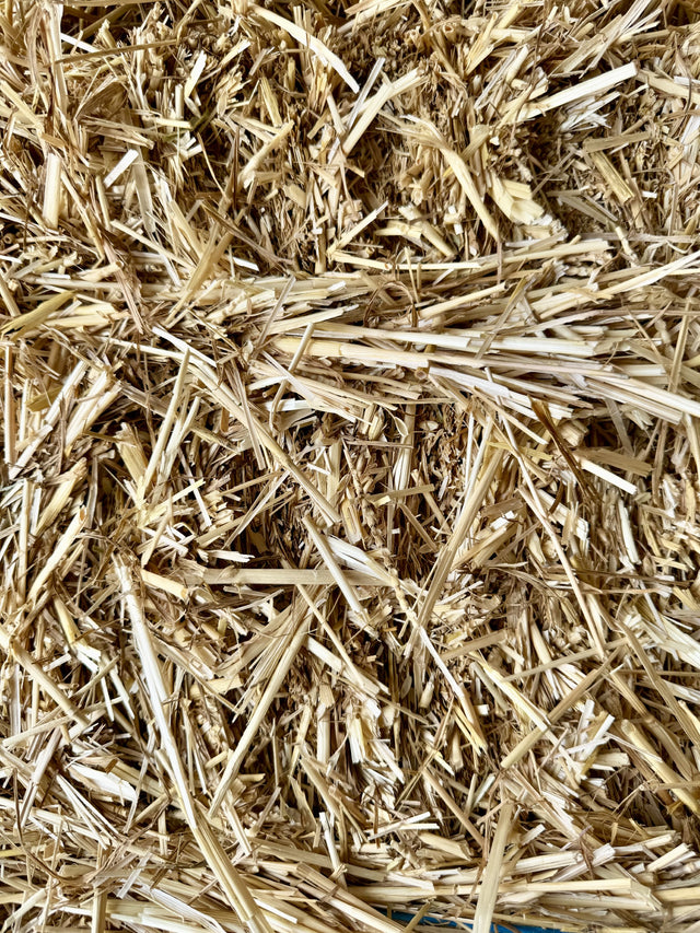 Straw Bale – The Mill