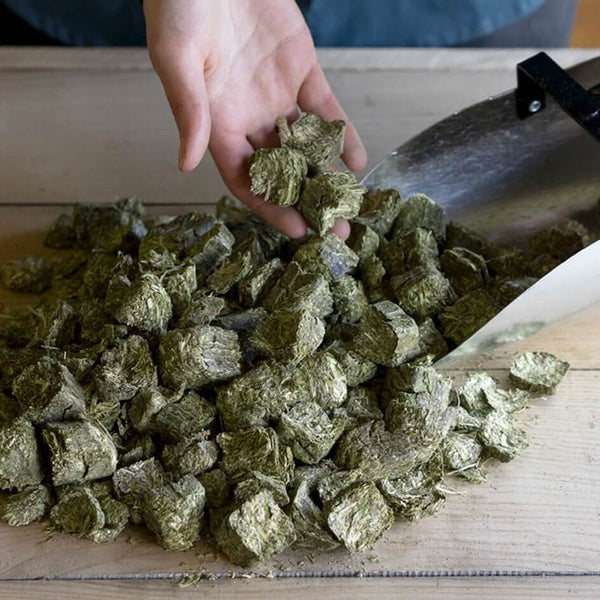 Triple Crown Timothy Balance Forage Cubes Naturals Horse Feed - The ...