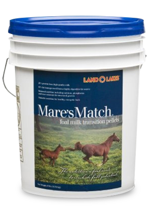 Mare's Match Transition Pellet – The Mill
