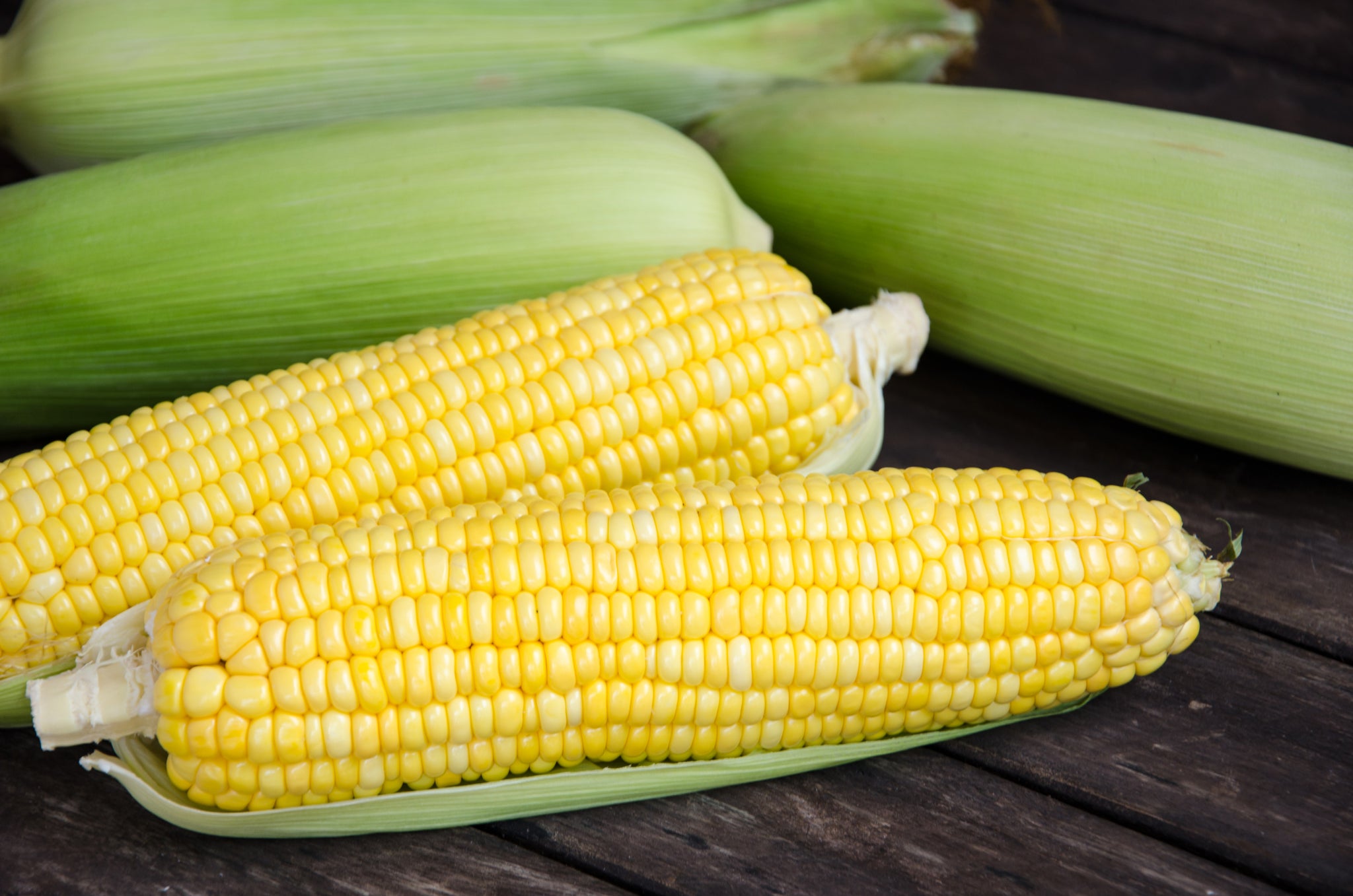 Takeoff Sweet Corn Vegetable Seed - The Mill - Bel Air, Black Horse ...